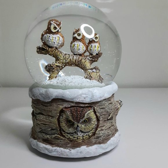 Roman | Accents | Owl Family Musical Snow Globe Roman Globe | Poshmark